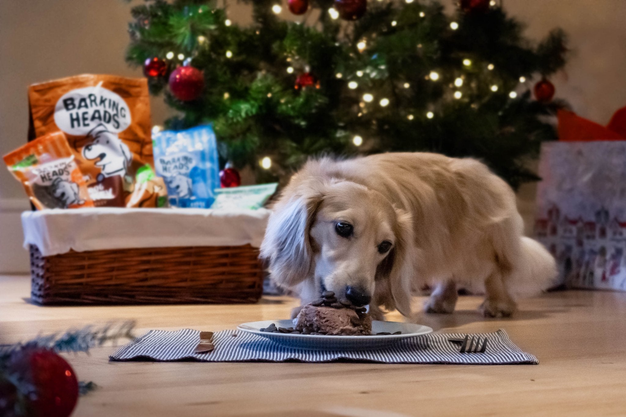 Apply to be Barking Heads’ Christmas dinner taster this Christmas ...