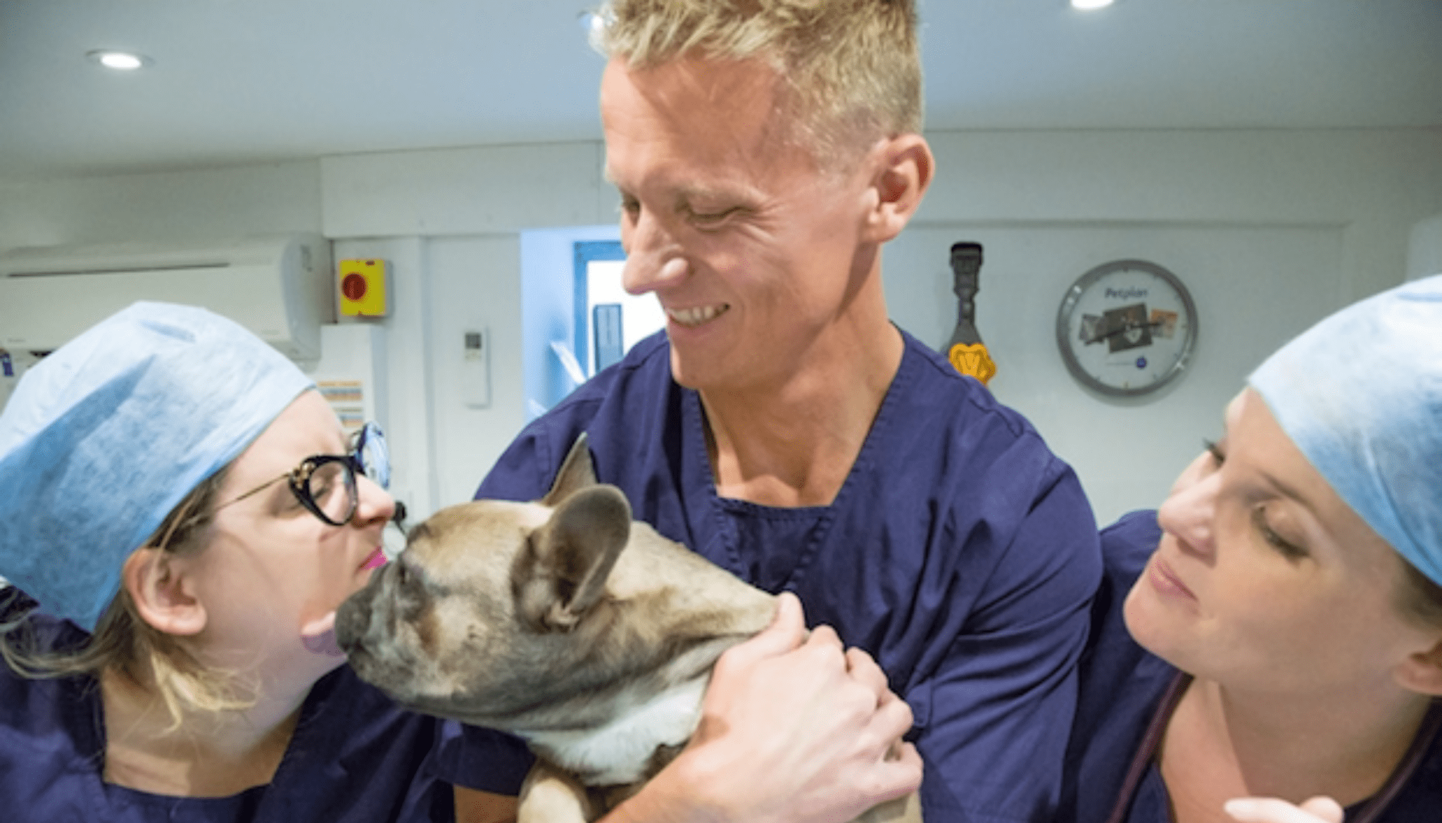 Dental Tips - Vet Advice from Vet Dr Scott Miller – Barking Heads ...