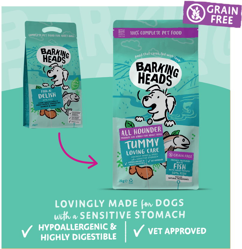Our Tasty & Tailored Wellness Range – Barking Heads & Meowing Heads