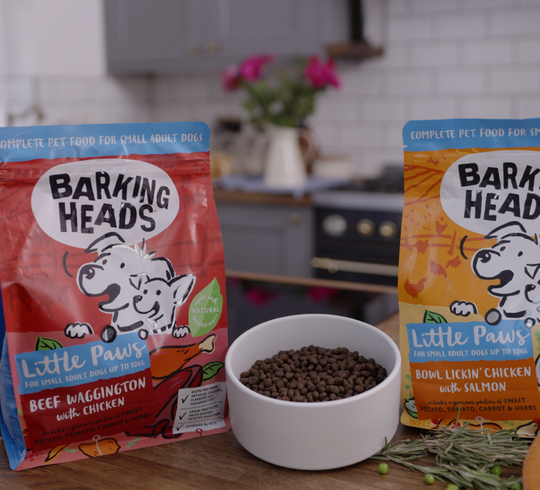 All Sections – Barking Heads & Meowing Heads