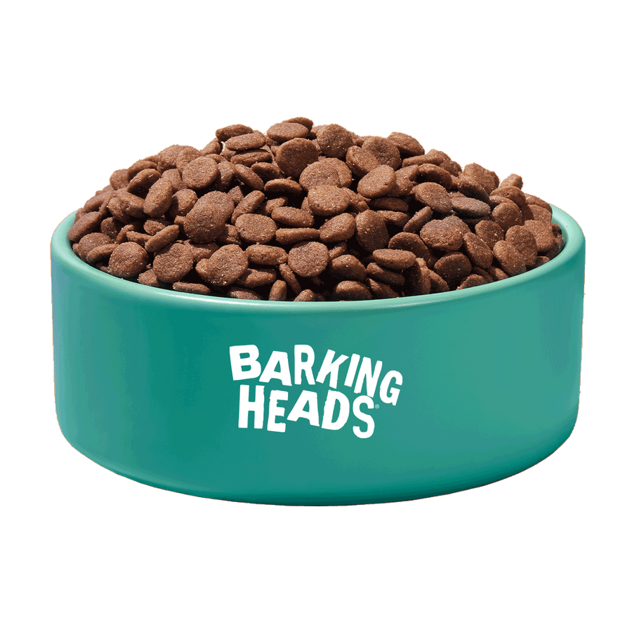 All Hounder Fat Dog Slim Chicken Low Fat Dry Dog Food – Barking Heads ...