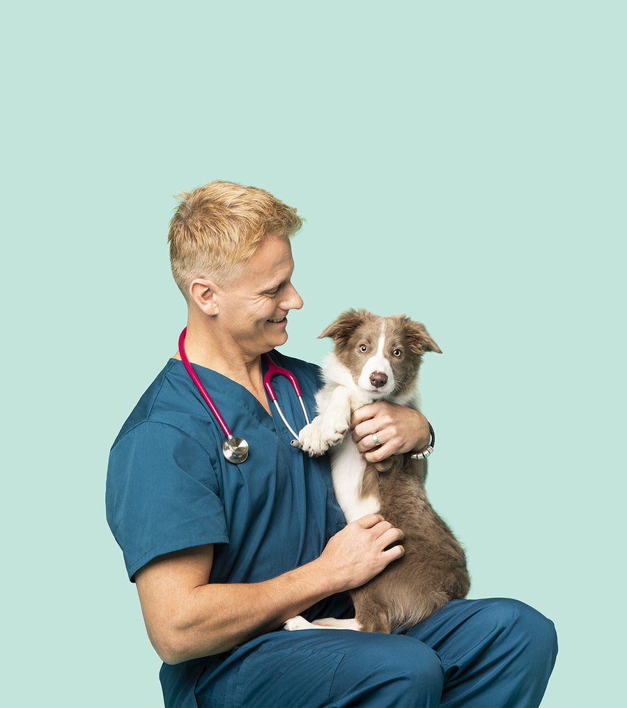 Introducing Scott Miller – Barking Heads & Meowing Heads