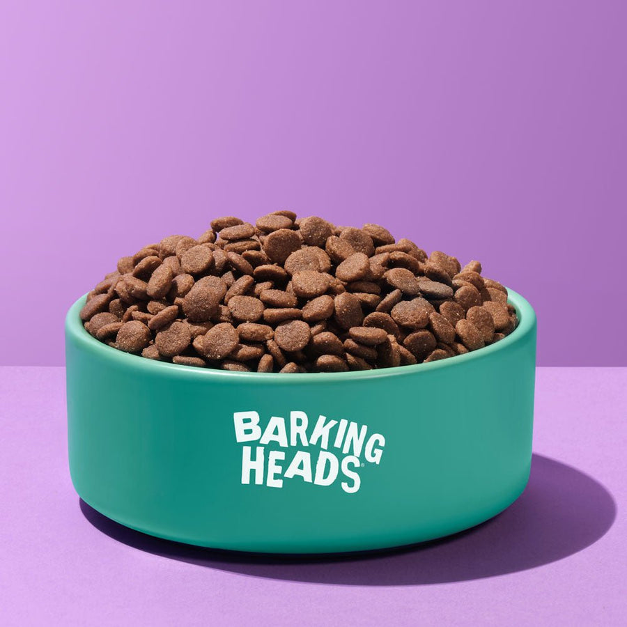 All Hounder Fat Dog Slim Chicken Low Fat Dry Dog Food – Barking Heads ...