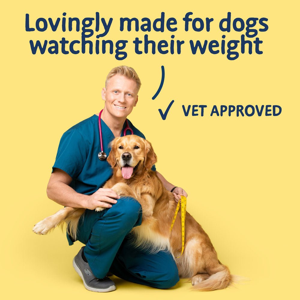 All Hounder Fat Dog Slim Chicken Low Fat Dry Dog Food – Barking Heads ...