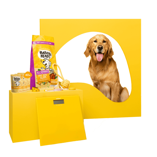 Fat Dog Slim Pack – Barking Heads & Meowing Heads