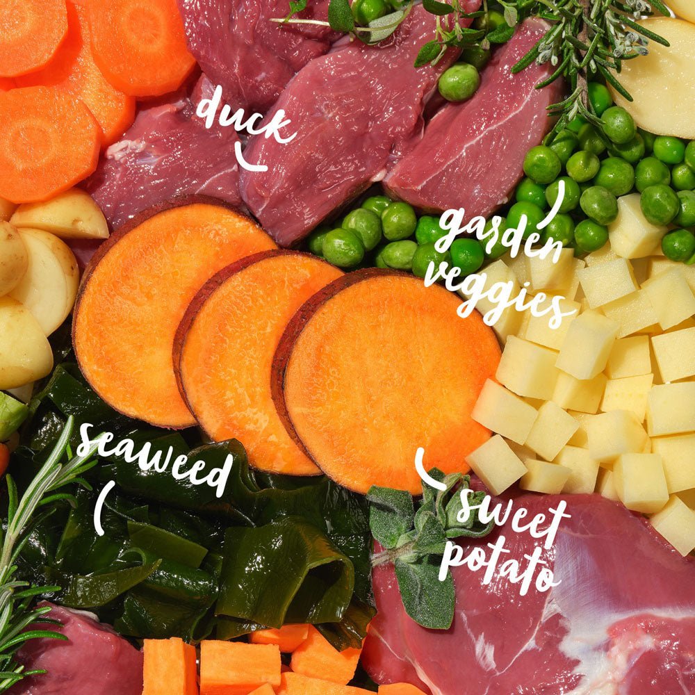 All Hounder Fuss Pot Duck Grain-free Hypoallergenic Dry Dog Food ...