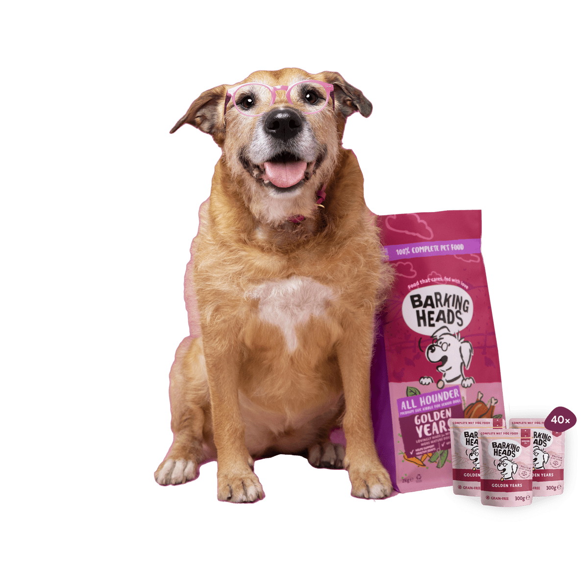 Golden Years Pack – Barking Heads & Meowing Heads