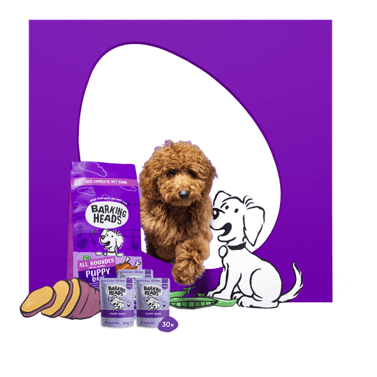 Puppy Pack – Barking Heads & Meowing Heads